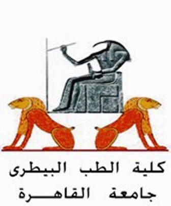 Cairo University Faculty Of Engineering Logo